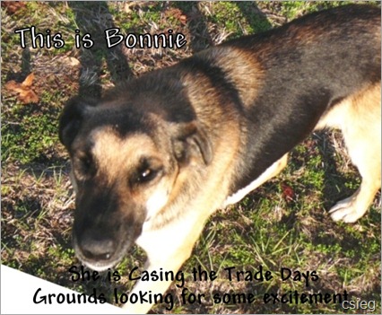 Adventures of Shadow The RVing Dog: How the Bonnie and Clyde Museum ...